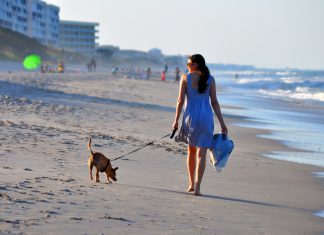 Explore Brevard County